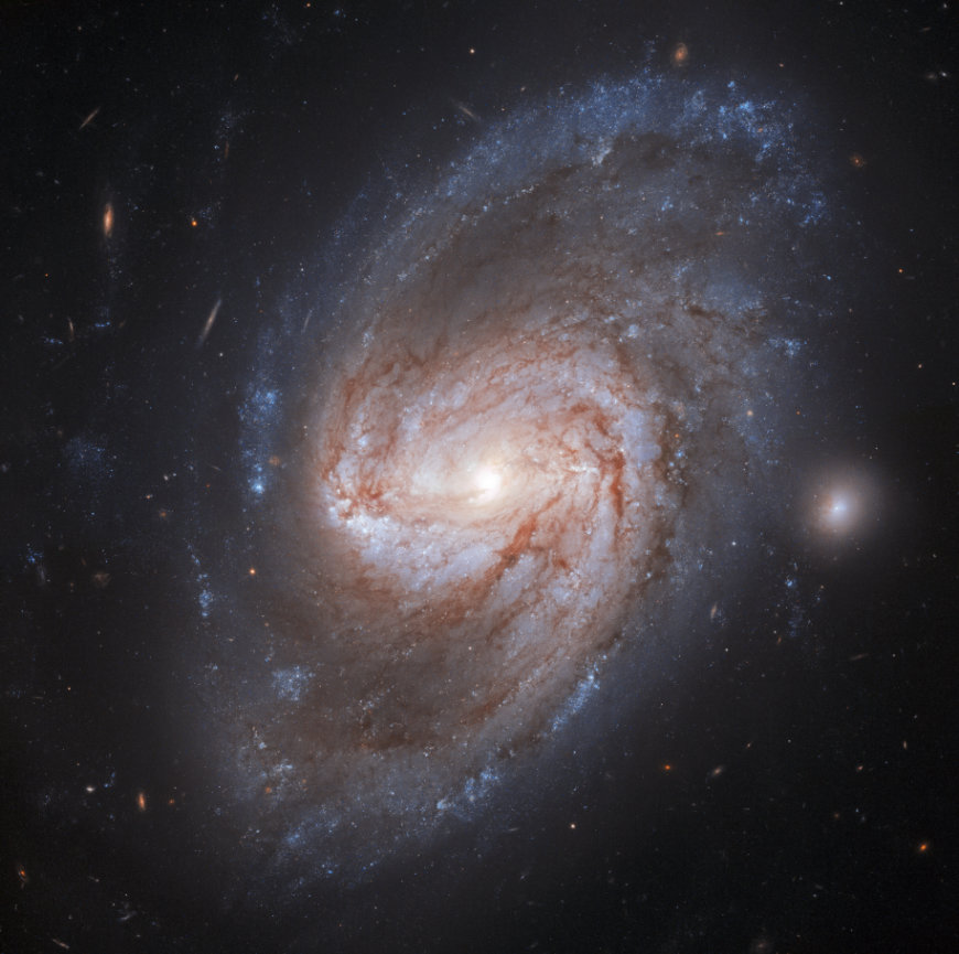 Bild des Tages - 4. Mai 2020: NGC 3583