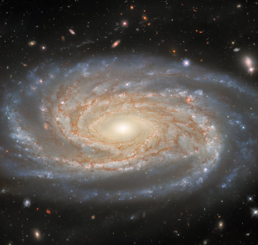 Bild des Tages - 9. November 2022: NGC 7038